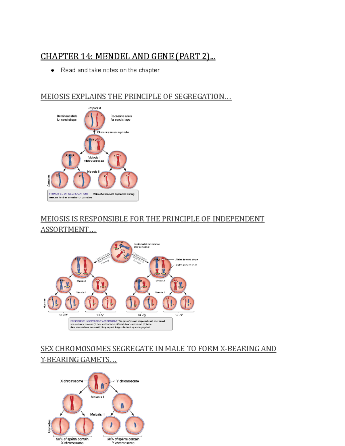 Chapter 14 Mendel AND GENE (PART 2) - CHAPTER 14: MENDEL AND GENE (PART ...
