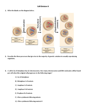7.2.7 Practice Understanding Cellular Respiration; ap bio - 03/20/ 7.2 ...