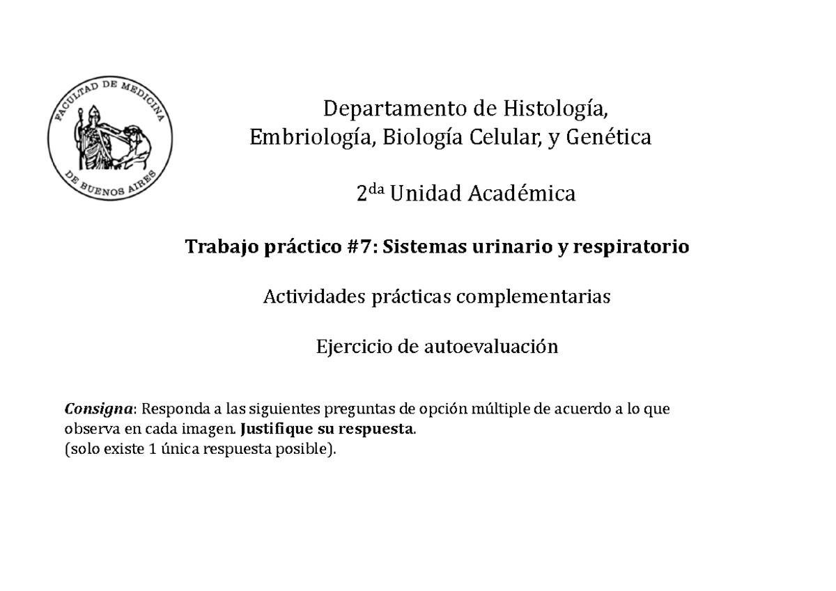 Autoevaluación TP7 - Urinario y Respiratorio - Warning: TT: undefined function: 32 Trabajo ...