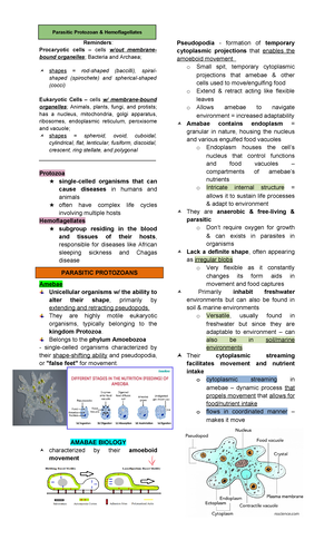 Coccidians- Table-by-EJRA - Miscellaneous Protozoa: COCCIDIANS ...
