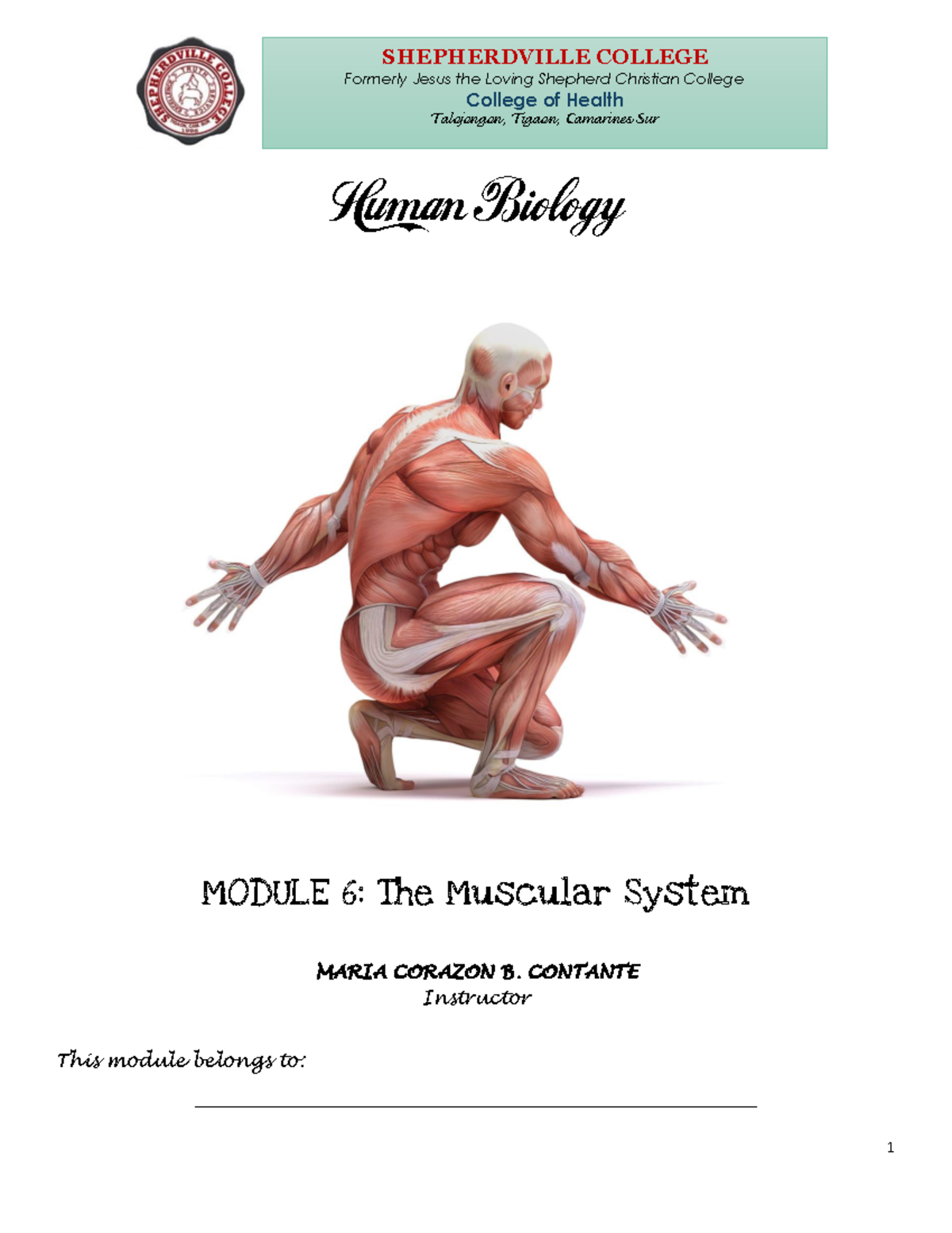 Module 6 The Muscular System - MODULE 6 : The Muscular System MARIA ...