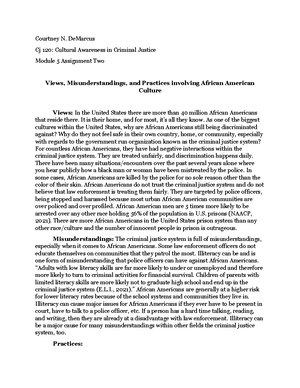 2-1 Module Two Practice Activity Personal Assessment - CJ 120 Module Two Practice Activity ...