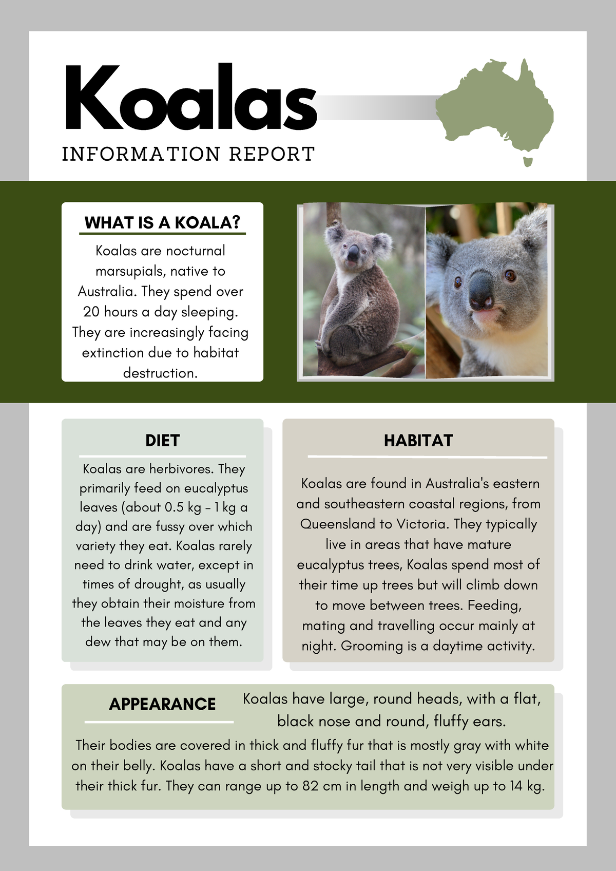 Pink and Blue Illustrative Science Infographic Poster - WHAT IS A KOALA? Koalas are nocturnal ...