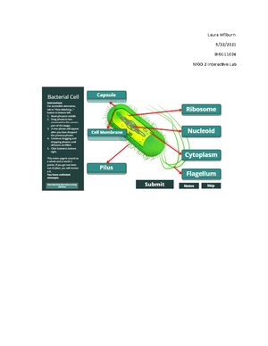 Lab Report Intro to Graphing - BIO 104 - ACC - Studocu