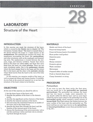 Spirometry Lab Report - Physiology and Anatomy II Spirometry Lab Report ...