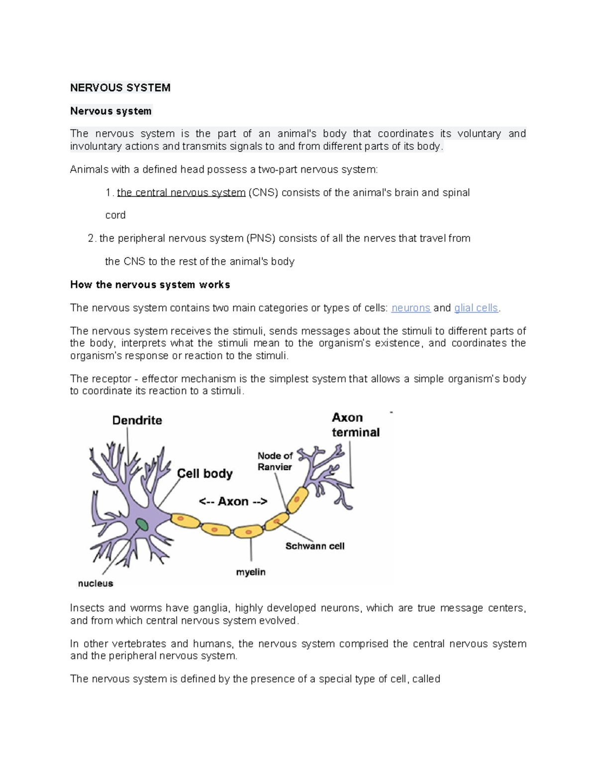 Nervous System Notes - NERVOUS SYSTEM Nervous system The nervous system ...