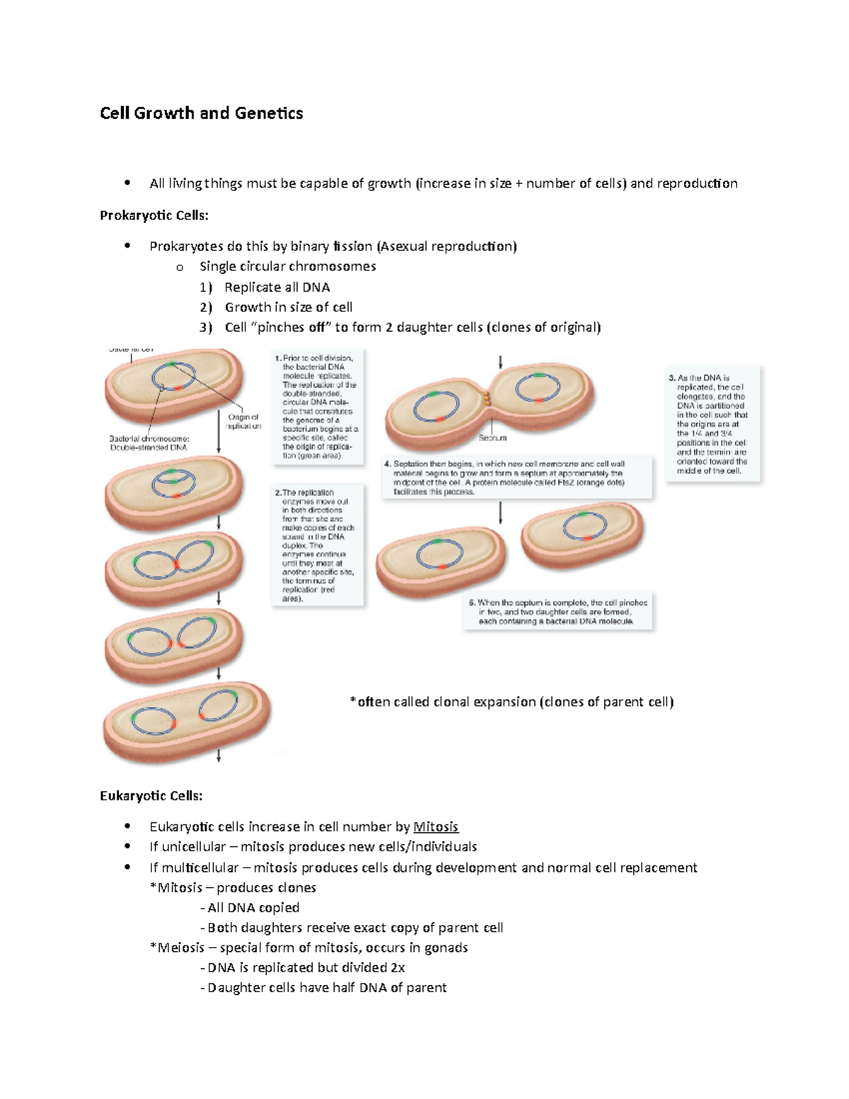GB1 Exam 4 pt2 - Lecture notes 5 - Cell Growth and Genetics All living ...