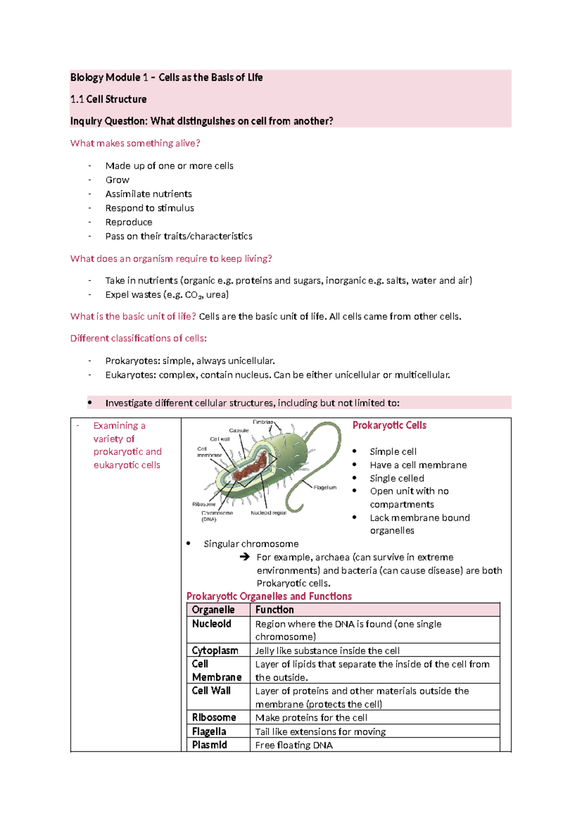 Biology Module 1 – Cells as the Basis of Life - proteins and sugars ...