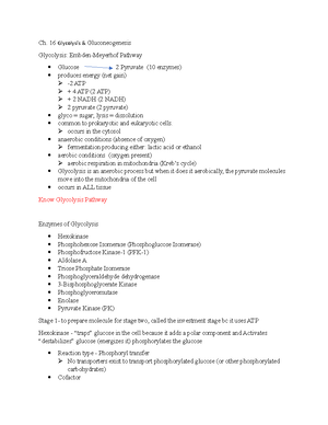 Biochem Ch 7 Blood - ch 7 - Chapter 7 Blood Blood - aqueous solution ...