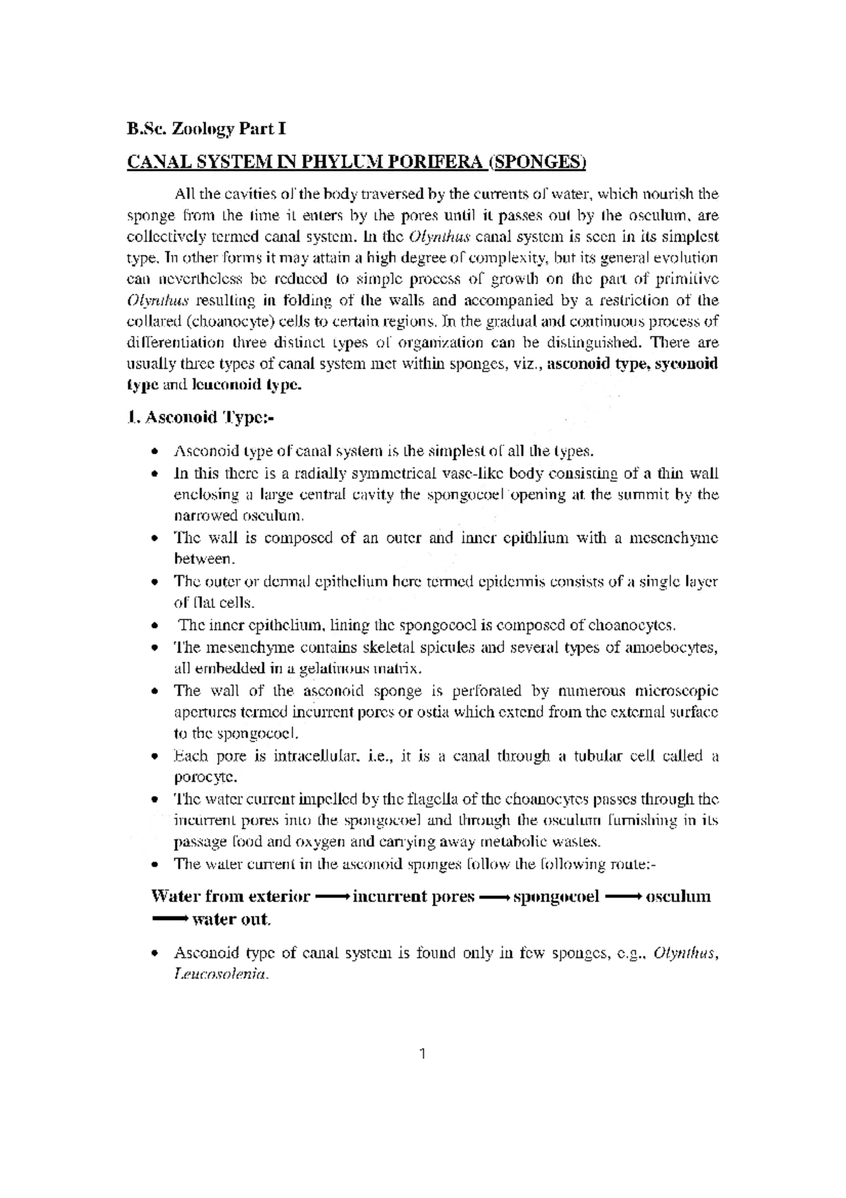 Water canal system in sponges - Phylum porifera - Bsc zoology - UoK ...