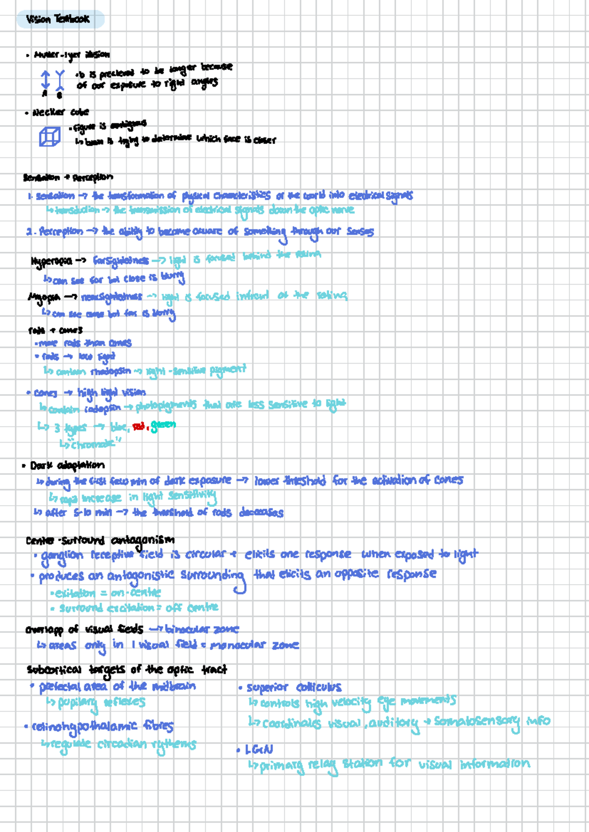 Vision textbook notes - Vision Textbook · Muller-lyer illusion X V ob ...