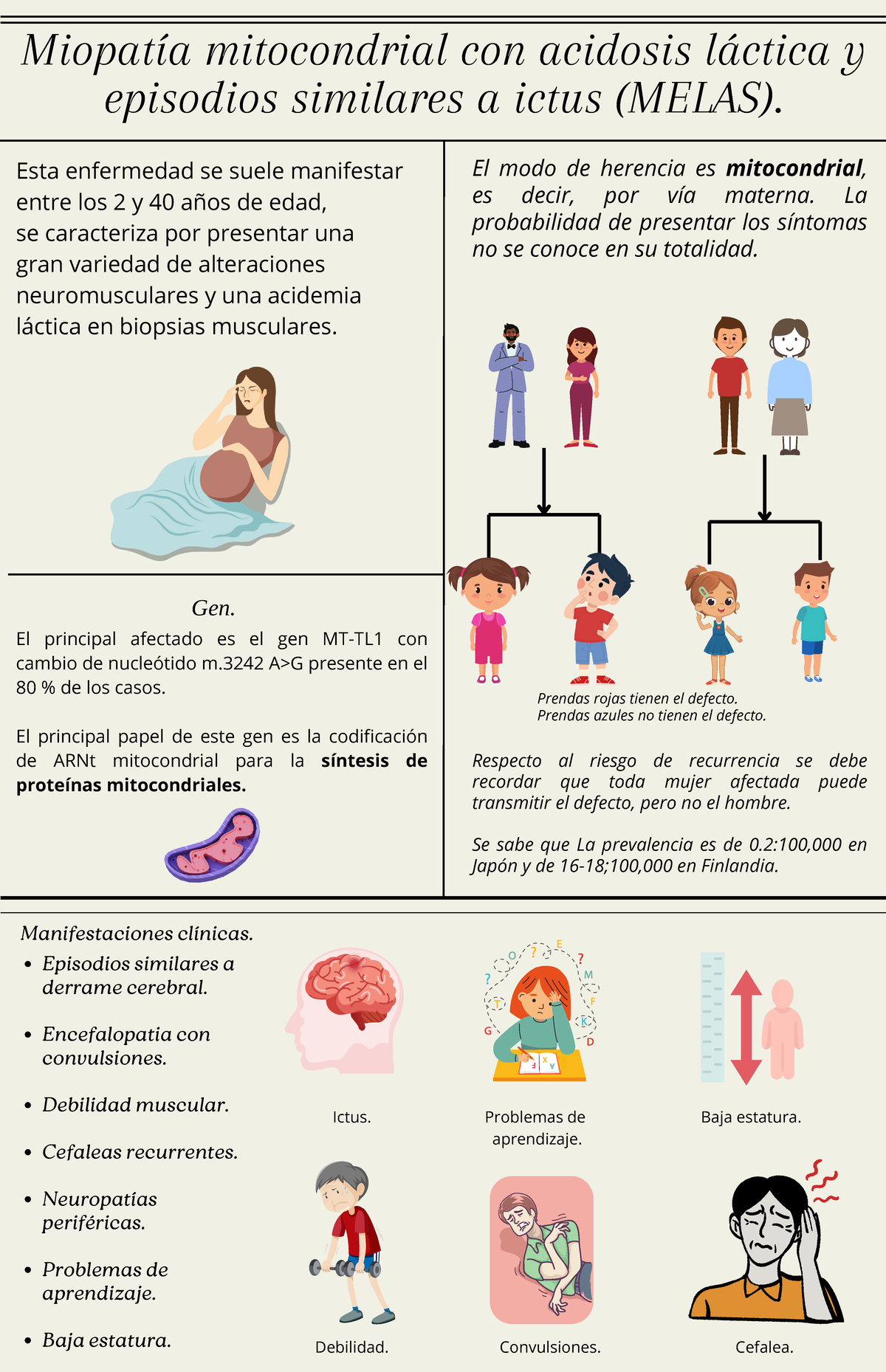 Melas - infografía que resumen de dicha enfermedad - Miopatía mitocondrial con acidosis láctica ...