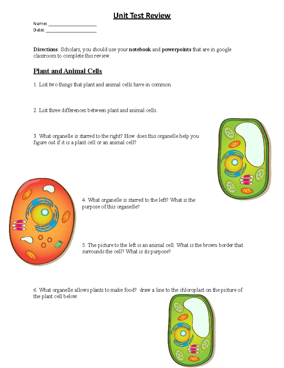 Ajah Williams - Atoms, Molecules, Plant and Animal Cell Unit Test ...