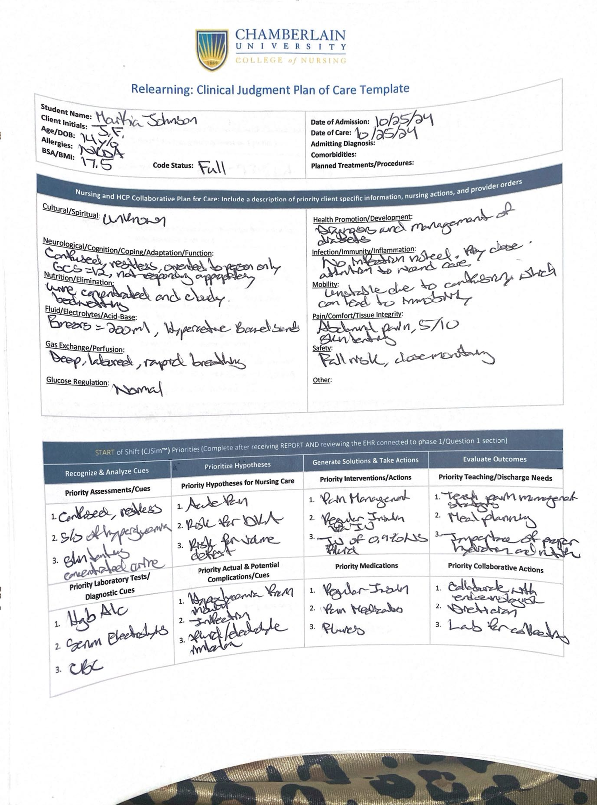 NR 328 CJE Exam Plan of Care Template - CHAMBERLAIN JNIVERSIT Y 1889 ...