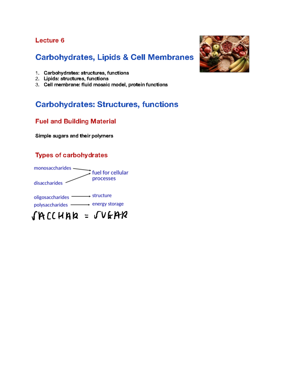 Lecture 6 - Carbohydrates, Lipids Membranes 🟢 - SACCHAK SUGAR Lecture 6 ...