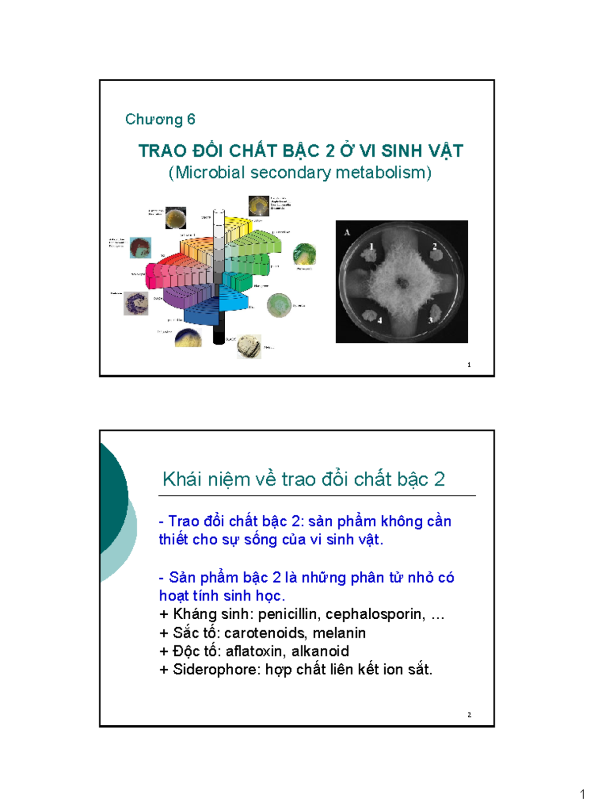 Chuong-6.-Trao-doi-chat-bac-hai-o-vi-sinh-vat - TRAO ĐàI CHÀT B¾C 2 Þ VI SINH V¾T (Microbial ...