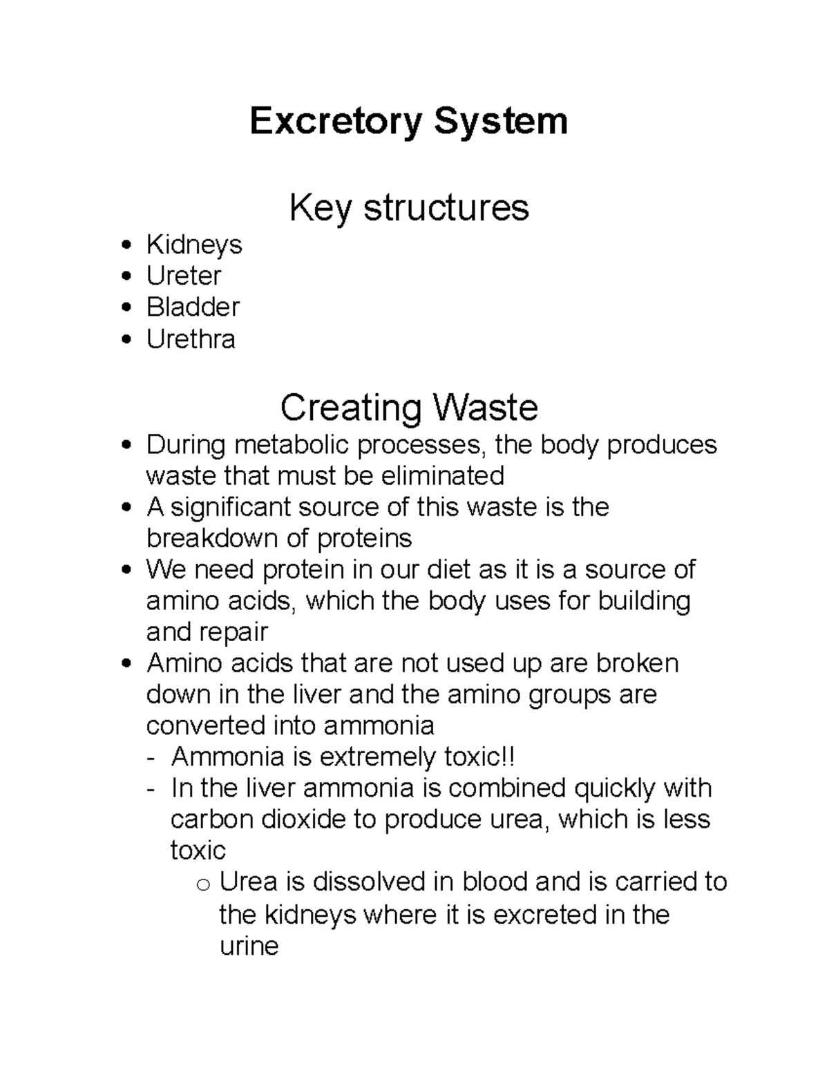 Excretory System - #lecture notes - Excretory System Key structures ...
