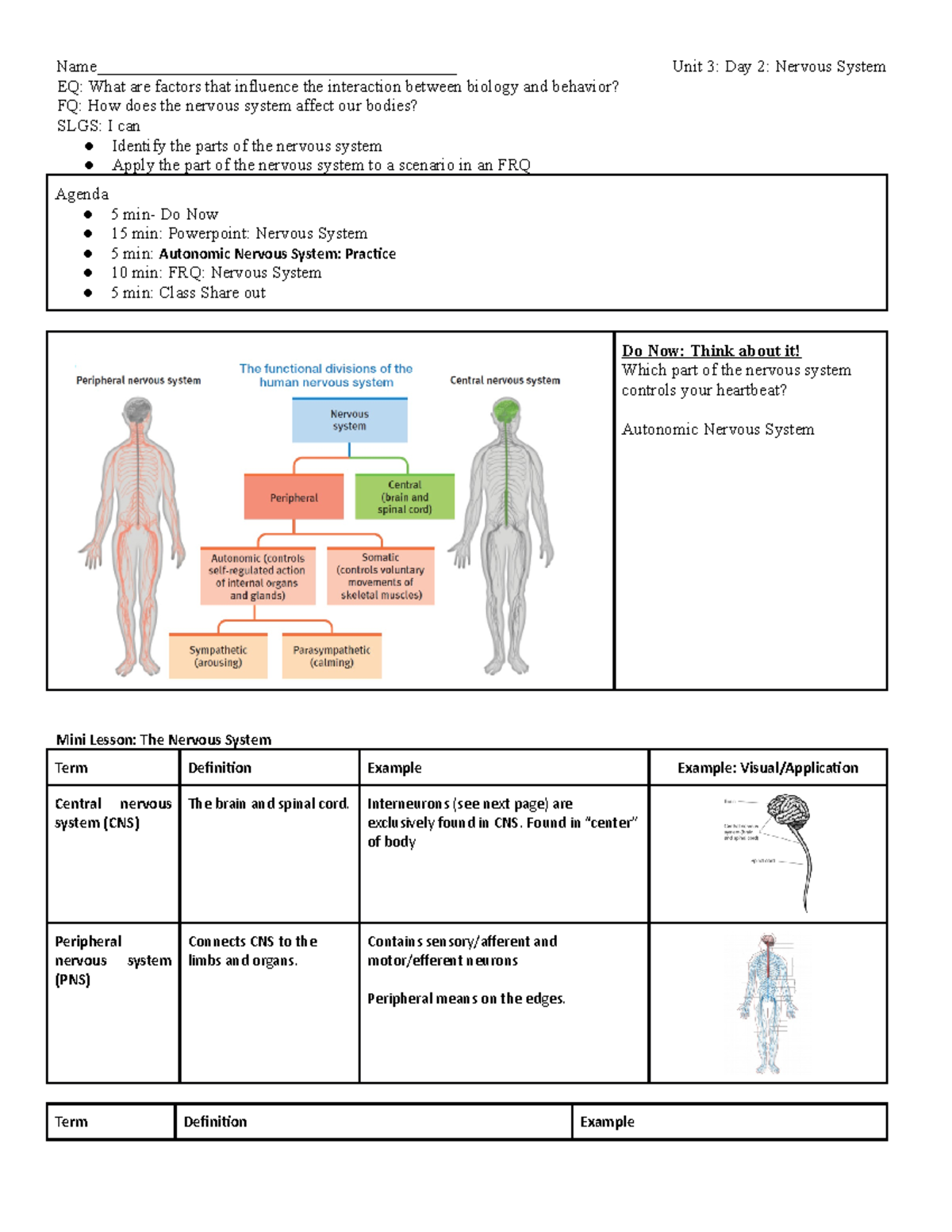 Copy of 1. Nervous System SD - Name ...