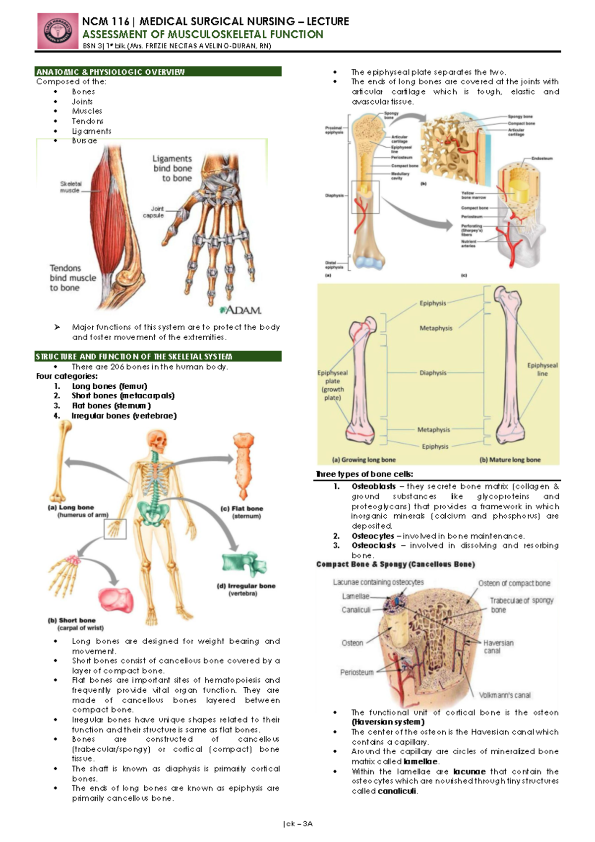 NCM-116- Musculoskeletal - ASSESSMENT OF MUSCULOSKELETAL FUNCTION BSN 3 ...