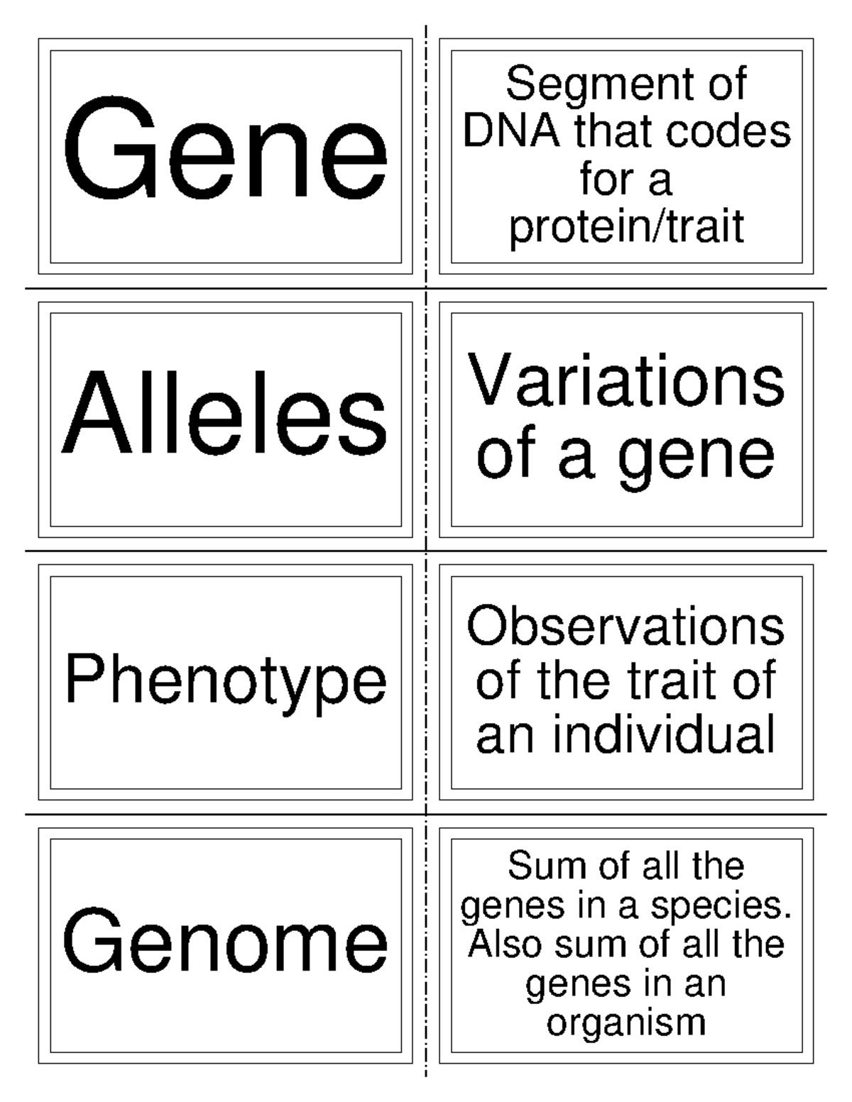 Fefbqd - Flash cards pre maid for the topic of mutations - Gene Segment ...