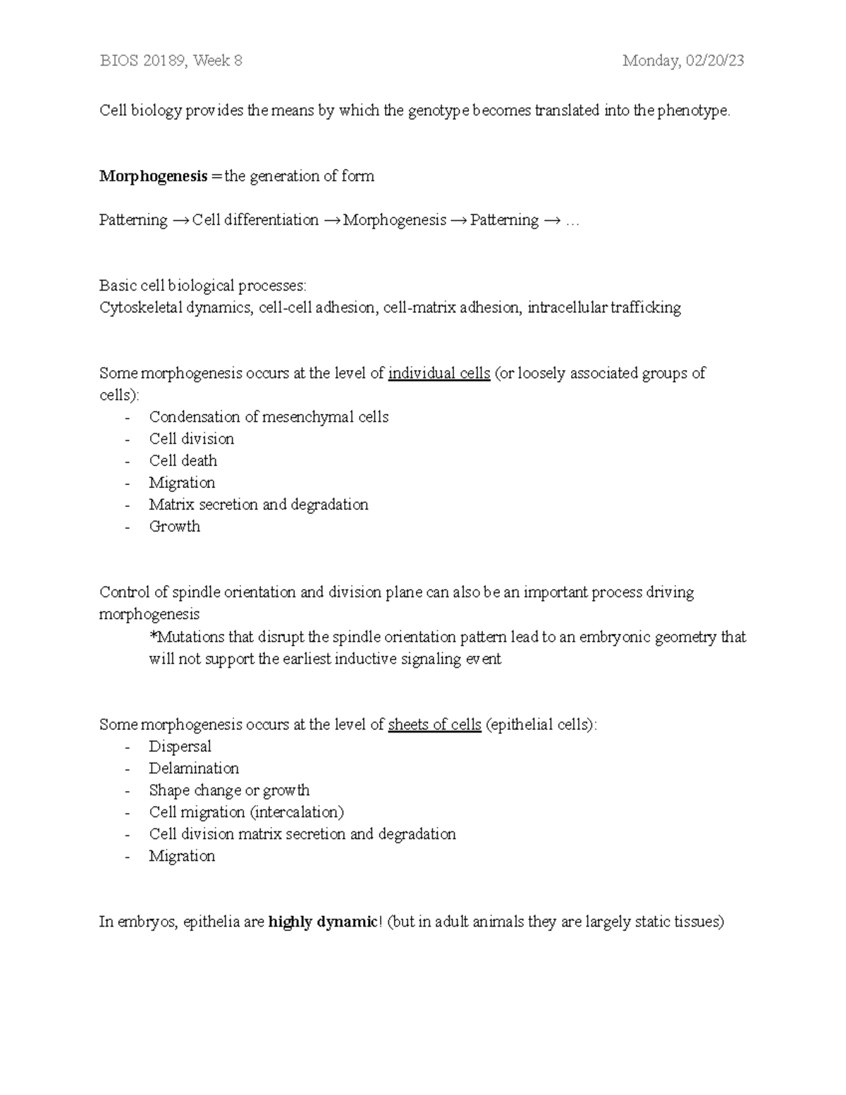Week 8 Morphogenetic movements lecture - Cell biology provides the ...