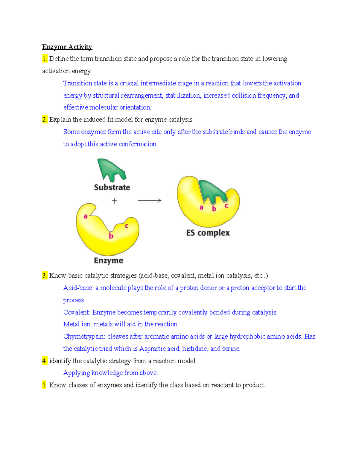 Biochem Enzyme Activity at Brayden Hervey blog