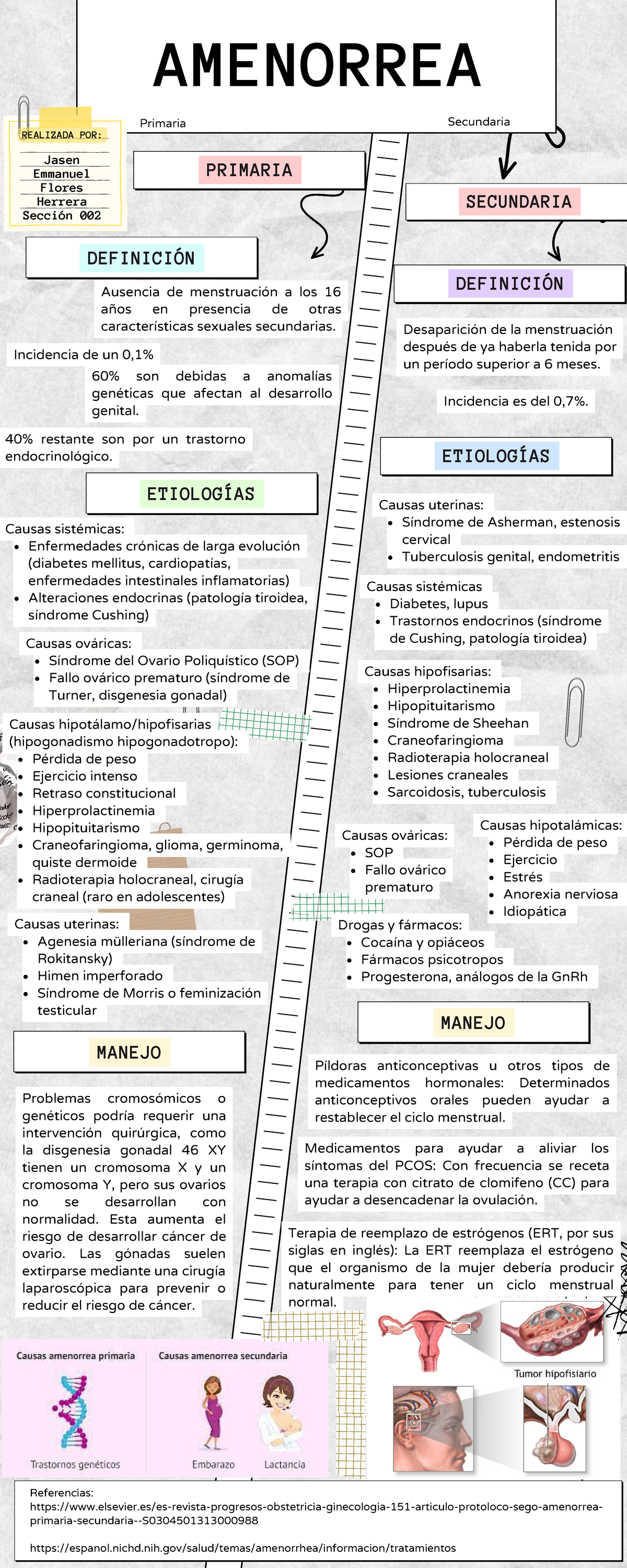 Amenorrea - AMENORREA SECUNDARIA DEFINICIÓN DEFINICIÓN ETIOLOGÍAS ...