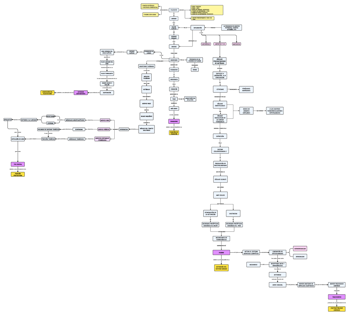 MAPA Respi - Mapa ABP - PACIENTE HECHOS SEXO: FEMENINO EDAD: 2 AÑOS MODO DE I NGRESO: EMERGENCIA ...