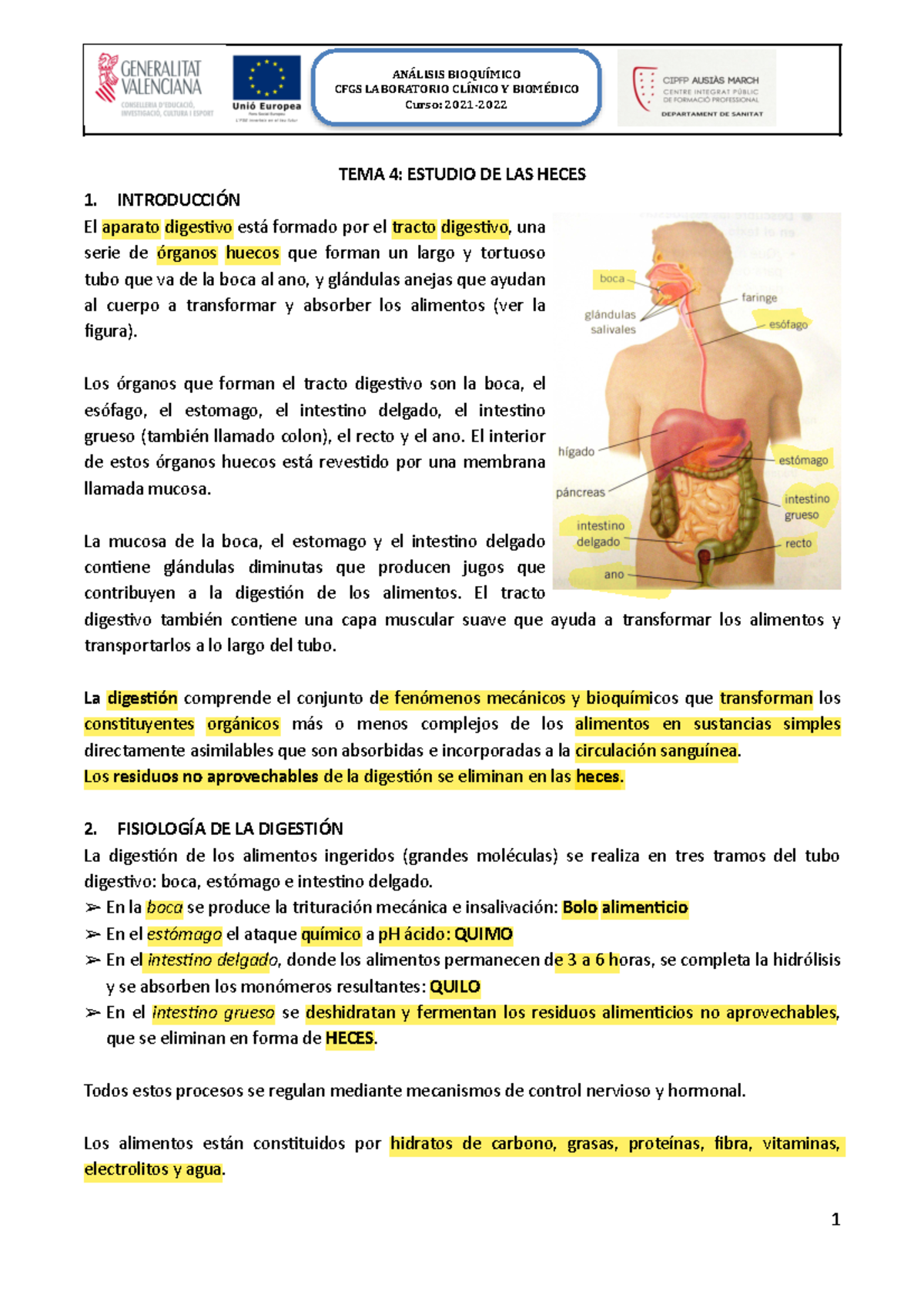 UD4 - resumen heces - TEMA 4: ESTUDIO DE LAS HECES 1. INTRODUCCIÓN El ...