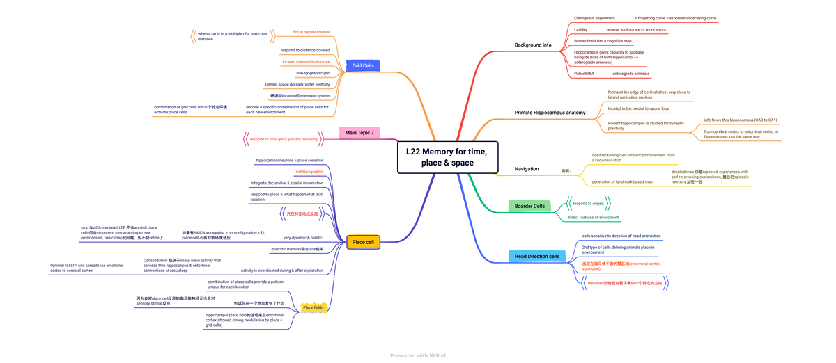 L22 Memory for time, place & space mindmap - L22 Memory for time, place ...