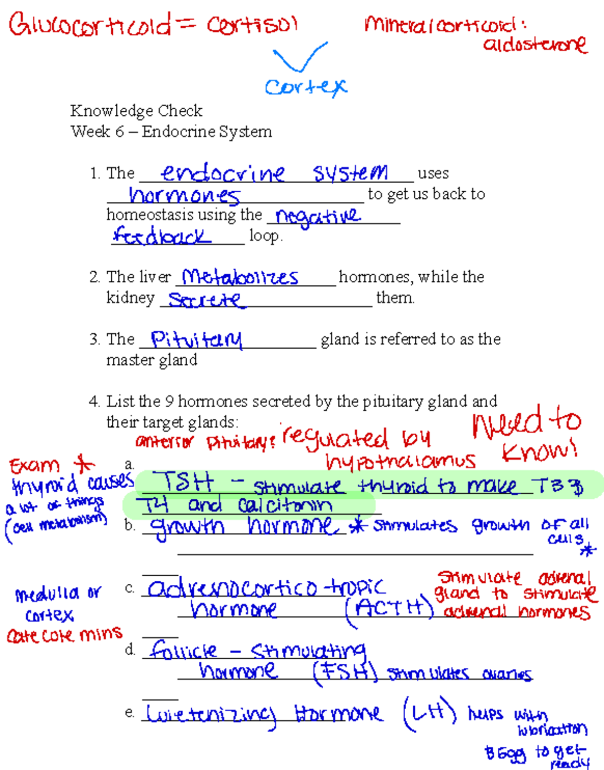 Week 6 knowledge check - Knowledge Check Week 6 – Endocrine System 1 ...