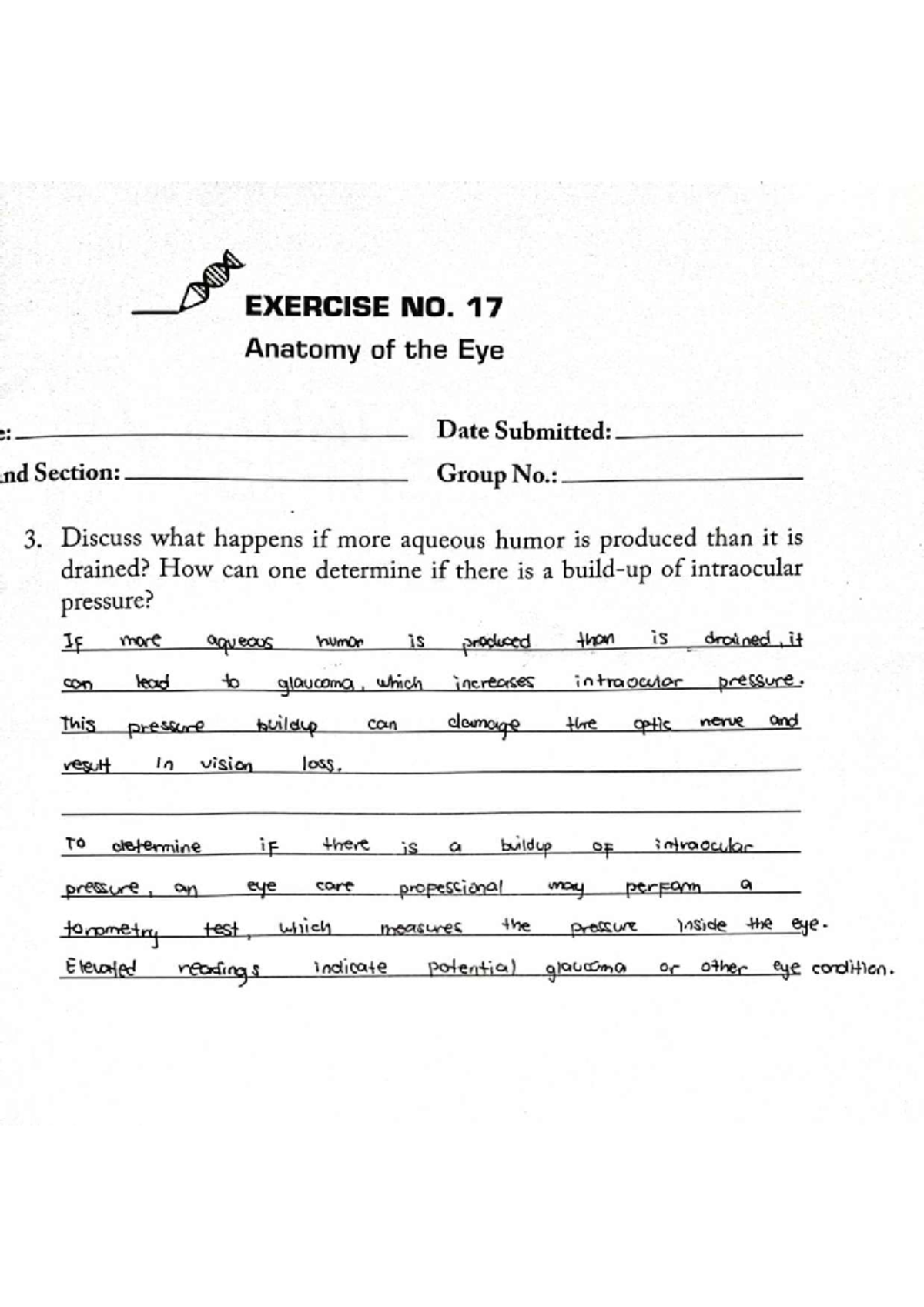 462535472 3790177067887829 4364637590072029736 n - EXERCISE NO. 17 Anatomy of the Eye : Date ...