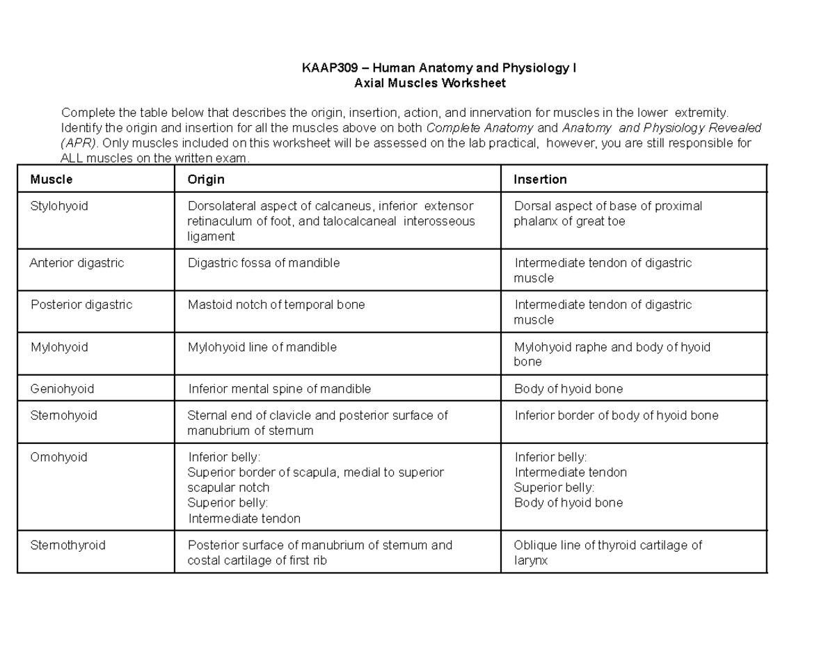 Axial Extremity Muscles - KAAP309 – Human Anatomy and Physiology I ...