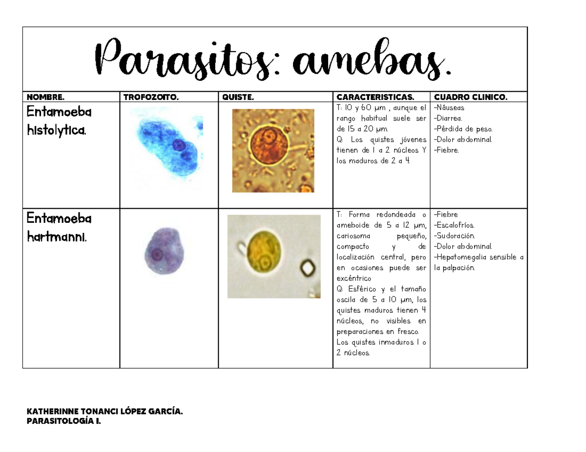 Parasitos Tabla - Parasitos: amebas. Entamoeba histolytica. T: 10 y 60 μm , aunque el rango ...