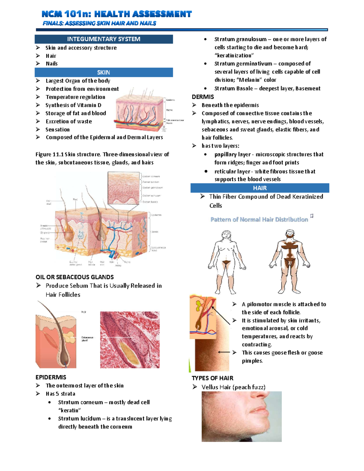 NCM 101 Prelim Assessing Skin Hair and Nails - INTEGUMENTARY SYSTEM ...