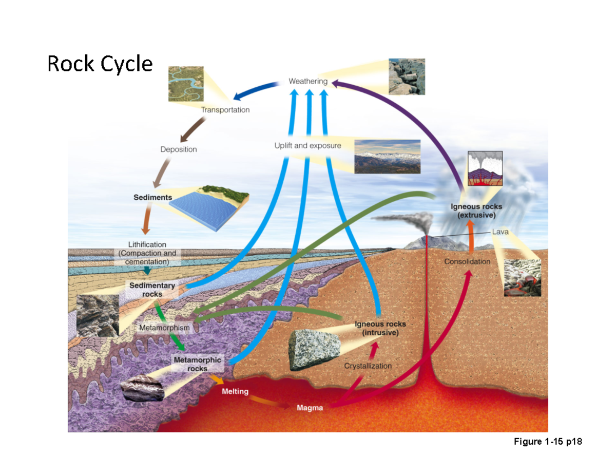 Sediment and Sedimentary Rocks - Rock Cycle Figure 1-15 p18 SOURCE OF ...