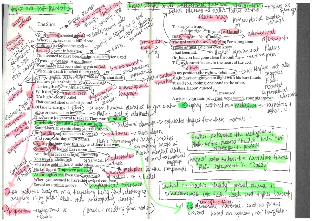 Annotated poem - The Shot. A poem written by ted hughes with full ...