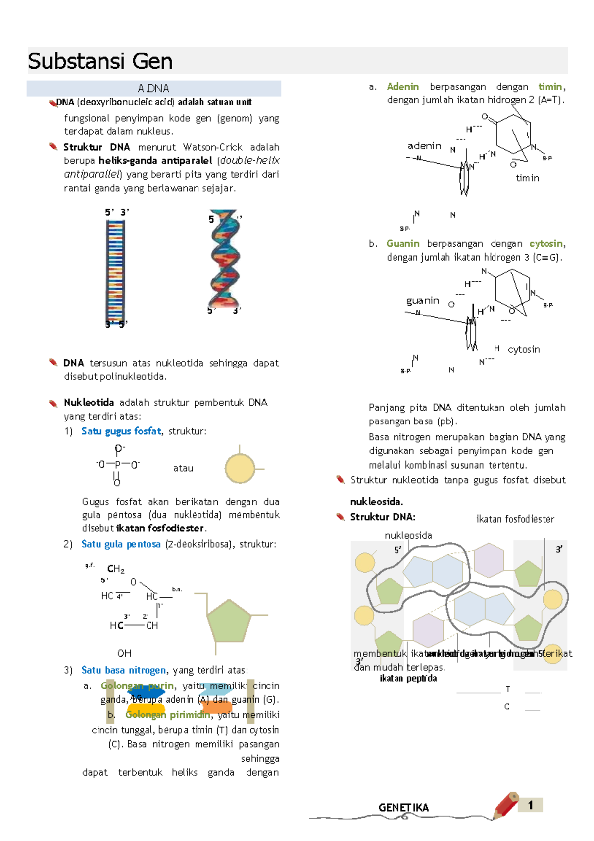 Biology Substansi Gen - DNA (deoxyribonucleic acid) adalah satuan unit ...