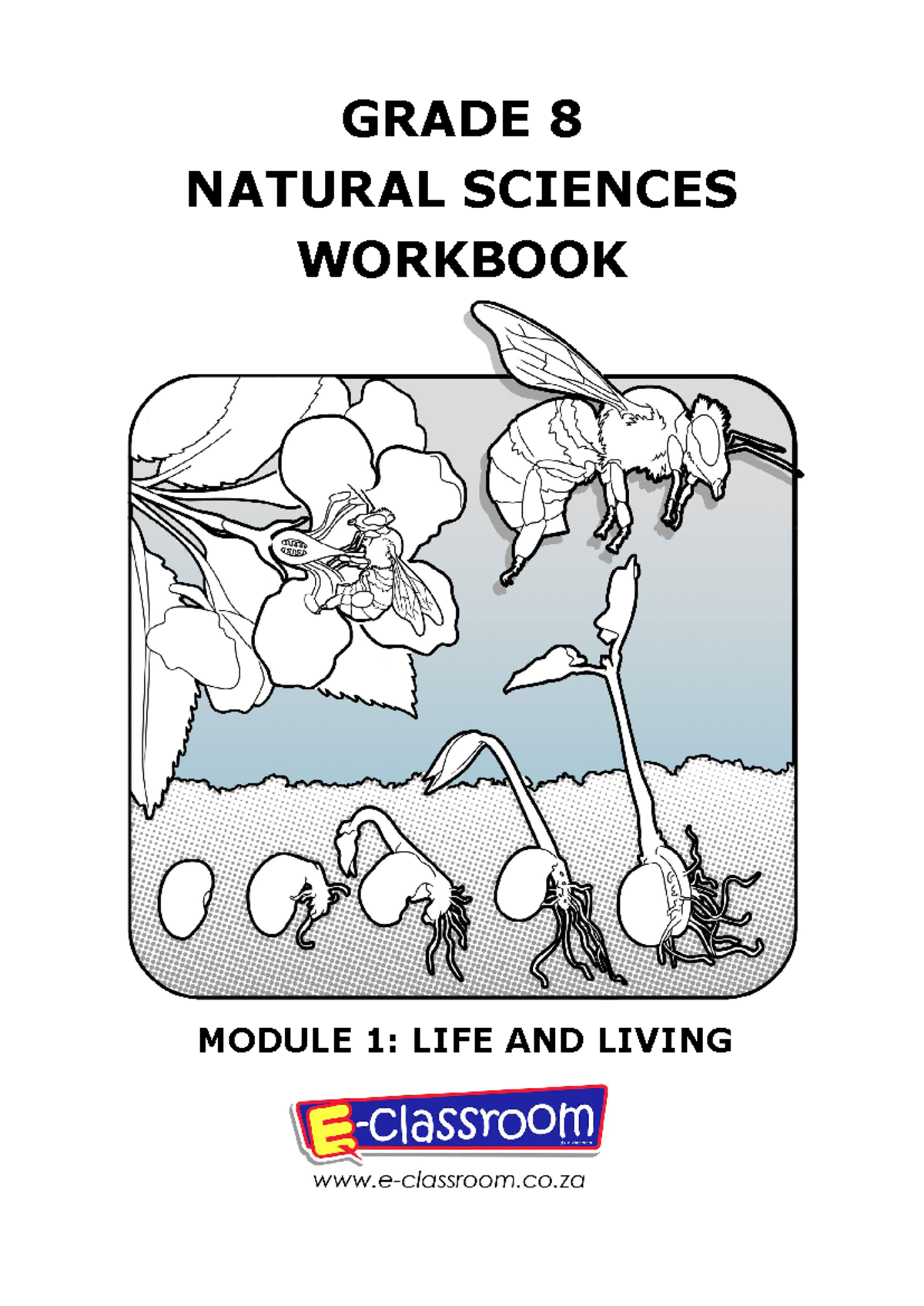 Grade 8&9 NS Term1&2 - No comment - GRADE 8 NATURAL SCIENCES WORKBOOK ...