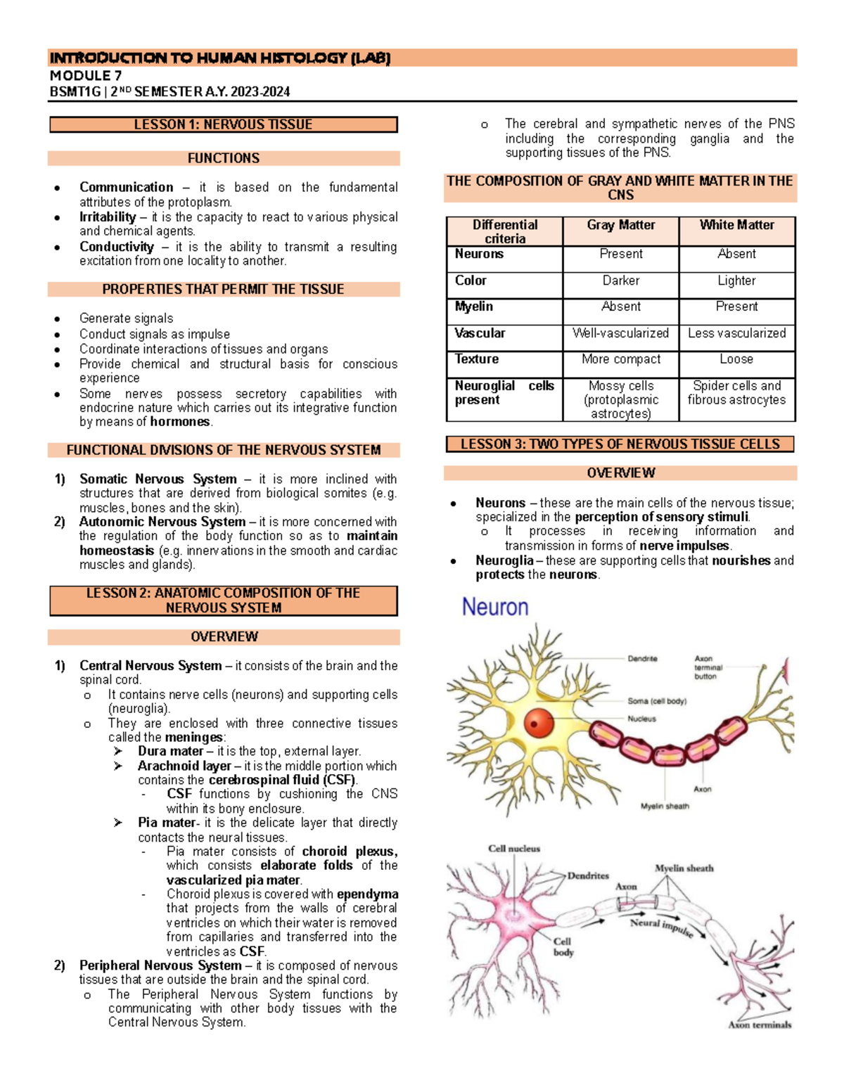 Histo - Module 7 - MODULE 7 BSMT1G | 2ND SEMESTER A. 2023- 2024 LESSON 1: NERVOUS TISSUE ...