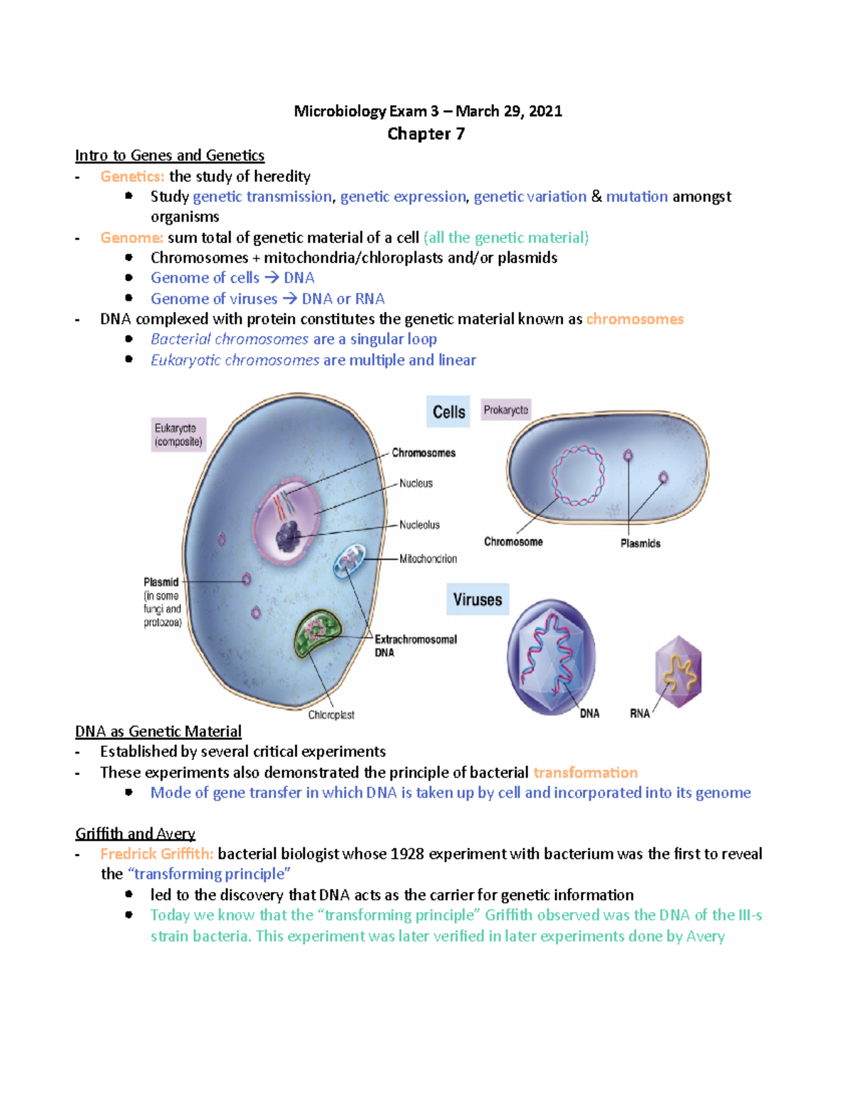 Micro exam 3 - Microbiology Exam 3 – March 29, 2021 Chapter 7 Intro to ...