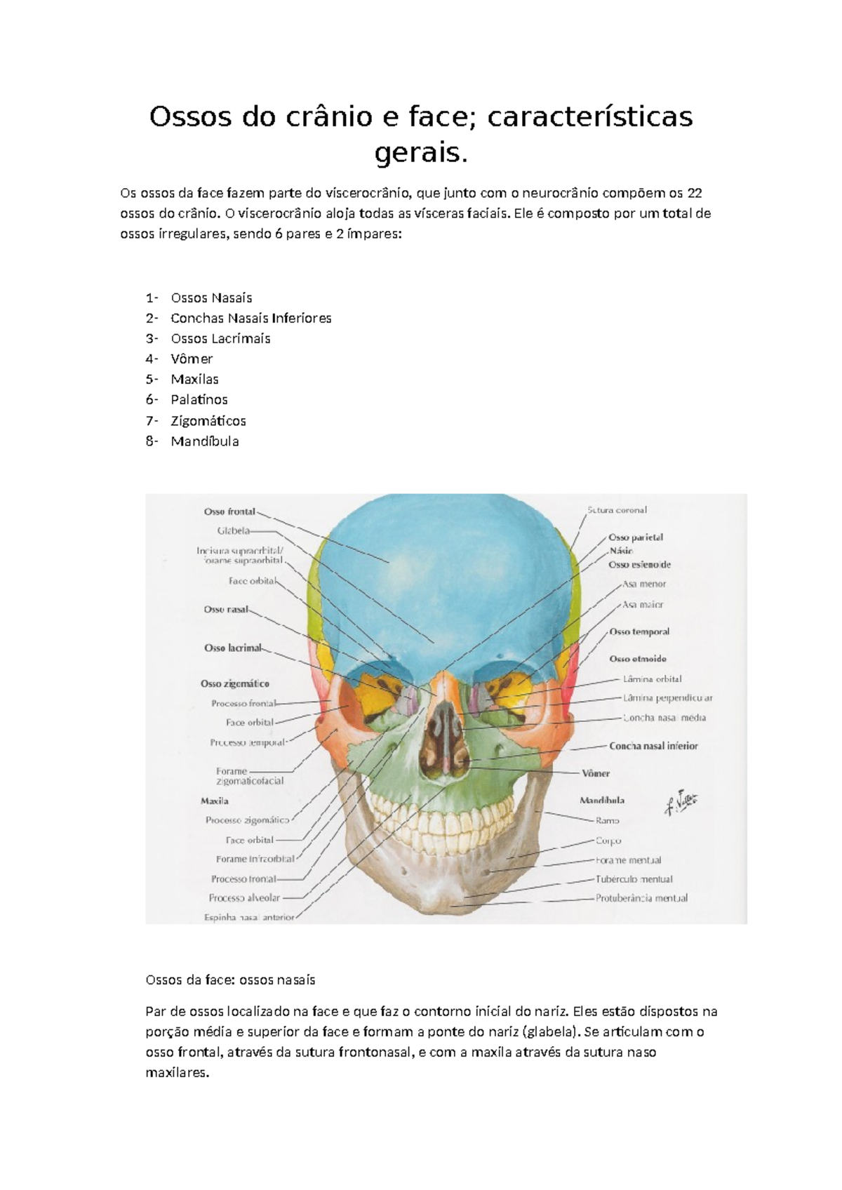 Ossos do crânio e face - resumo - Ossos do crânio e face ...