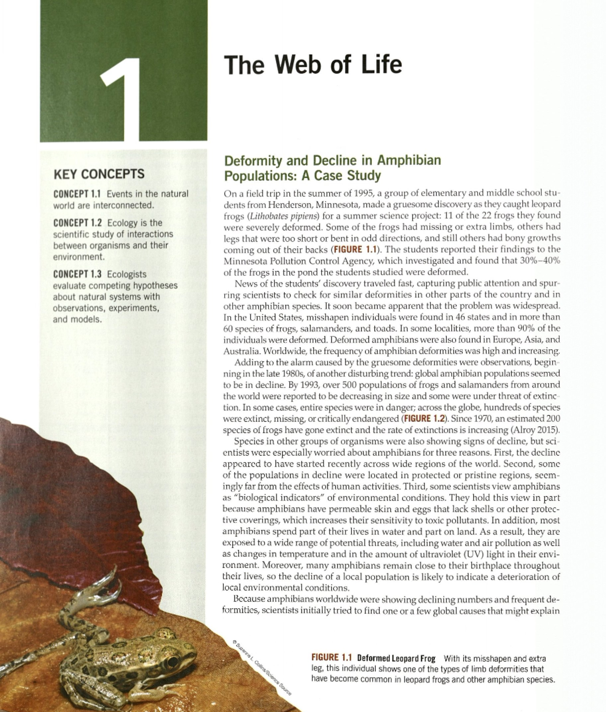 2483 Chp1 - Ecology note - The Web of Life Deformity and Decline in ...
