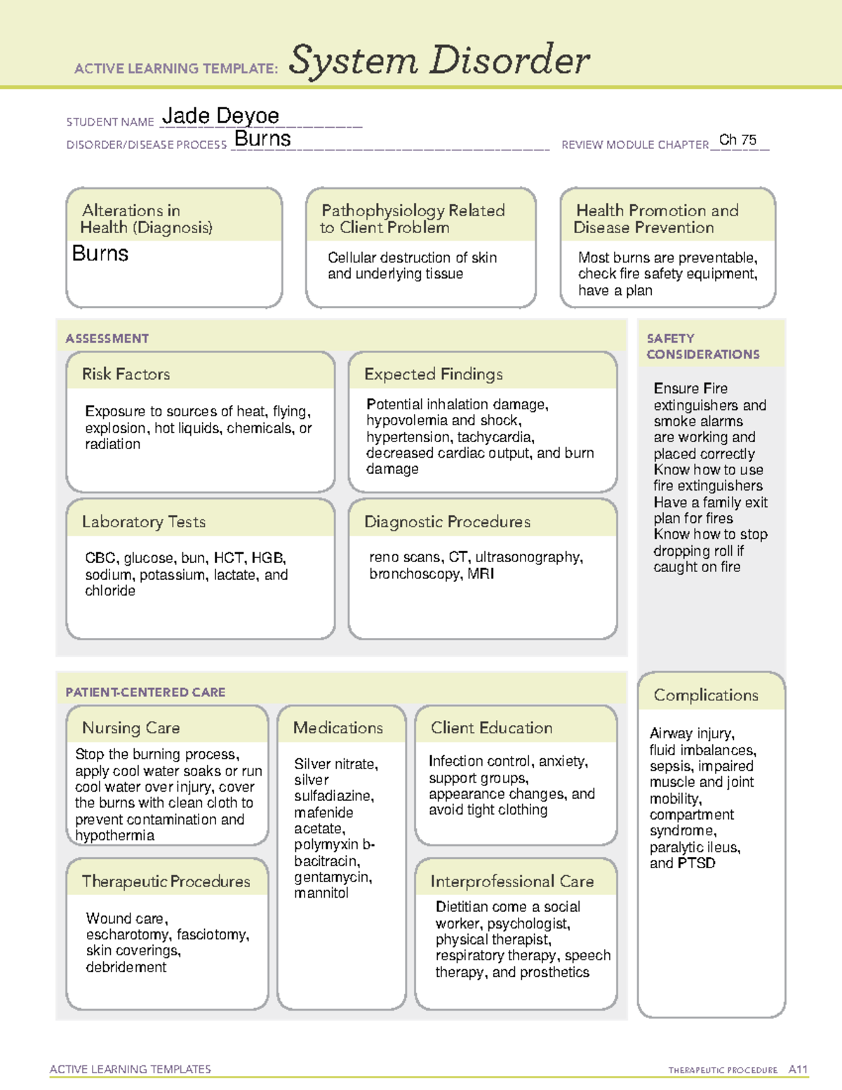 Active Learning Template Burns - ACTIVE LEARNING TEMPLATES TherapeuTic ...