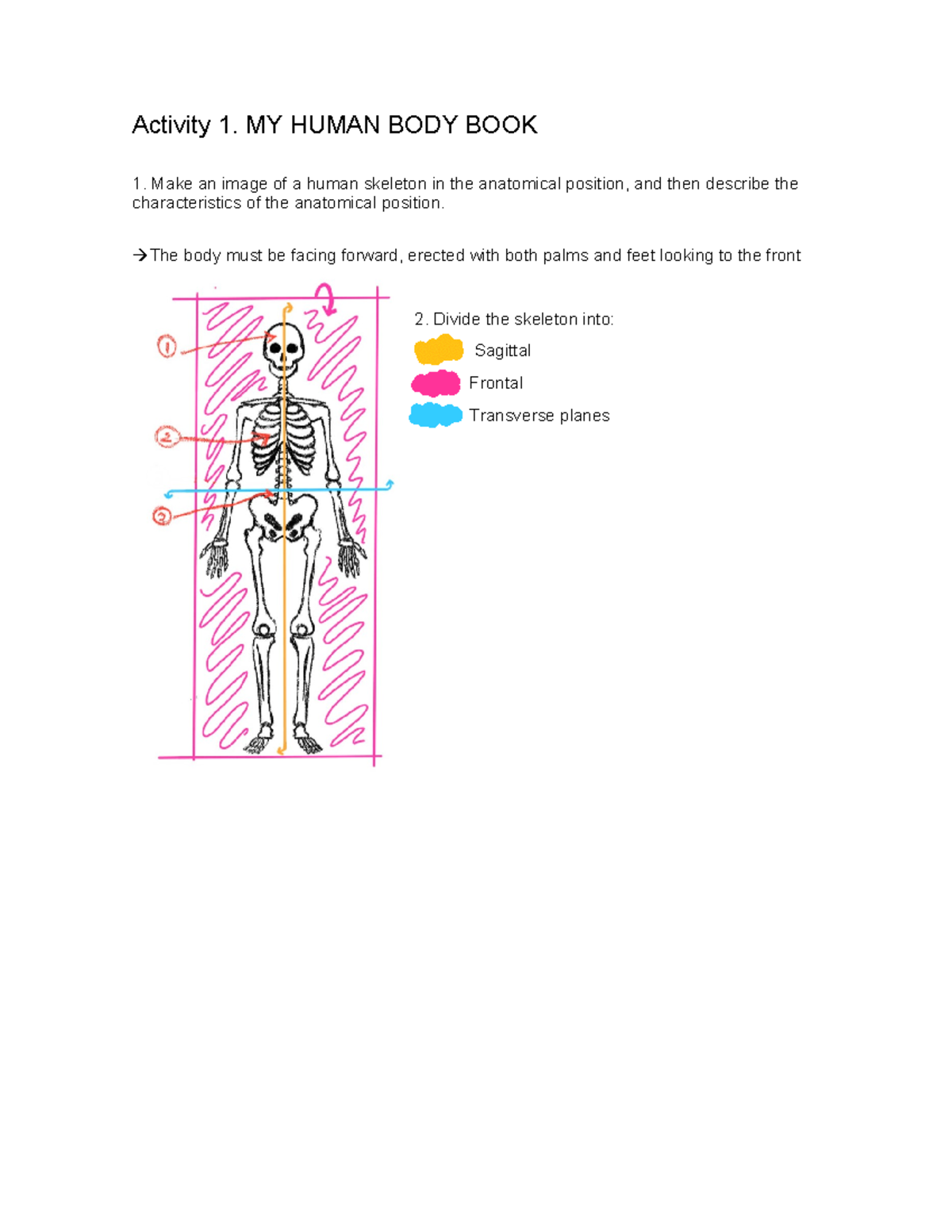 Activity 1 - actividad 1 - Activity 1. MY HUMAN BODY BOOK Make an image ...