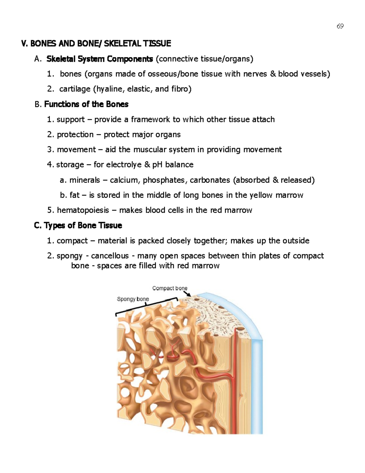 BIO 201 teacher notes 5 pages 69-83 skeletal tissues with powerpoints ...