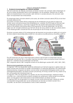 Casus 3 Kleppen - Casus 3 Kleppen Anatomie van het hart De wand van het ...