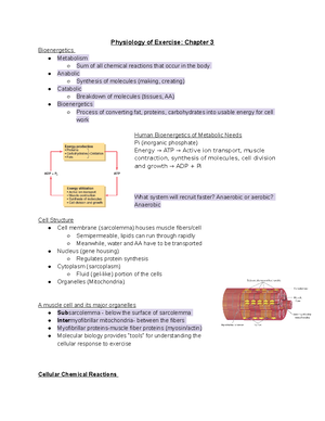 Chaper 5 Ex Phys Notes - KINE 4312 - Studocu