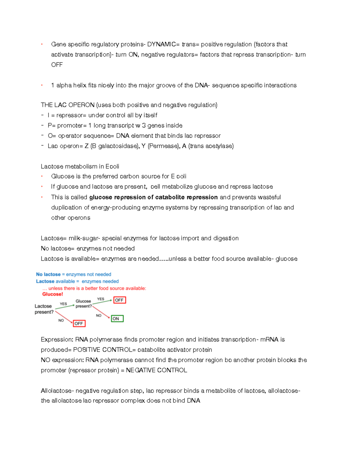 Biochem topic 18 part 2 - full lecture notes - Gene specific regulatory ...