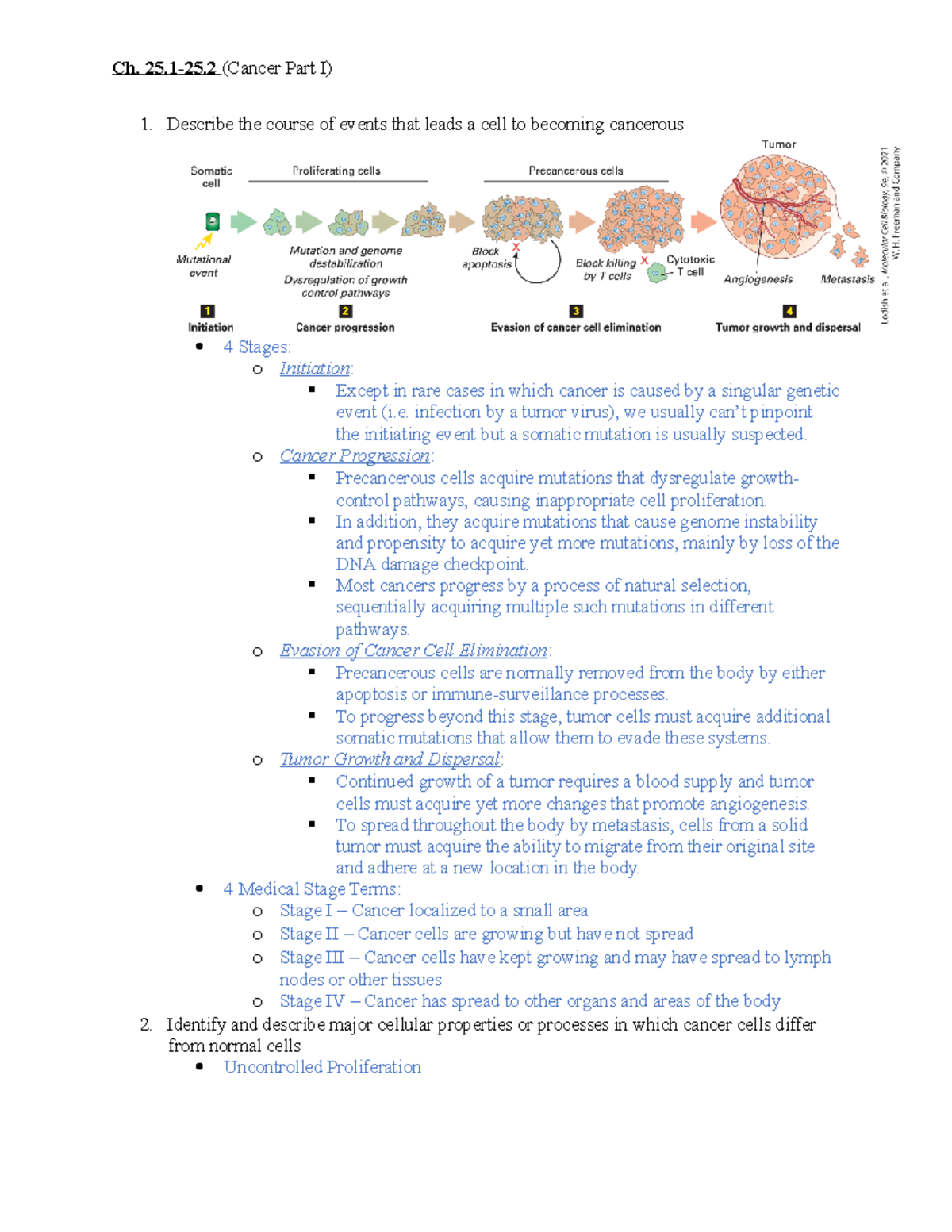 Ch. 25 - Notes on Cancer Biology Part 1 - Describe the course of events ...